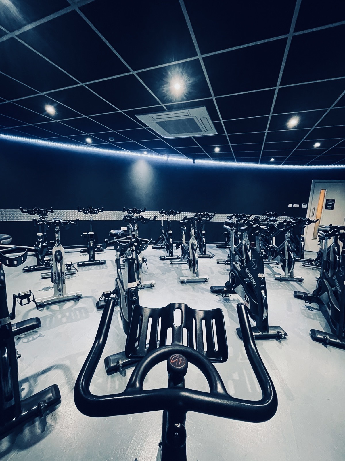 365 Gym
